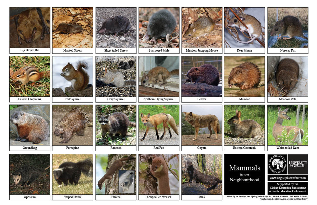 Build Your Sheet Bundle – Arboretum Shop